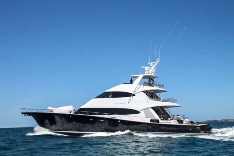 Gyro Stabilizer | The World's Most Powerful Gyroscopic Stabilizer