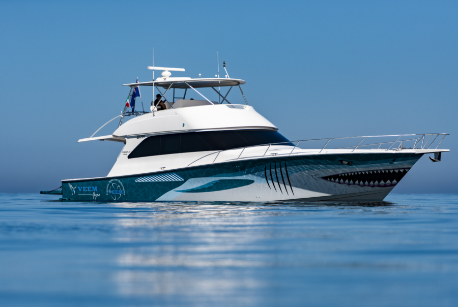 Gyro Stabilizers | What is a Marine Gyro Stabilizer?