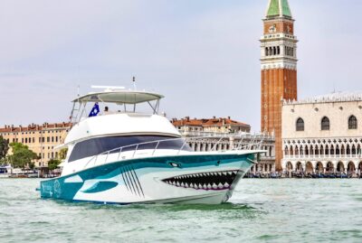 Gyro Stabilizer | The World's Most Powerful Gyroscopic Stabilizer