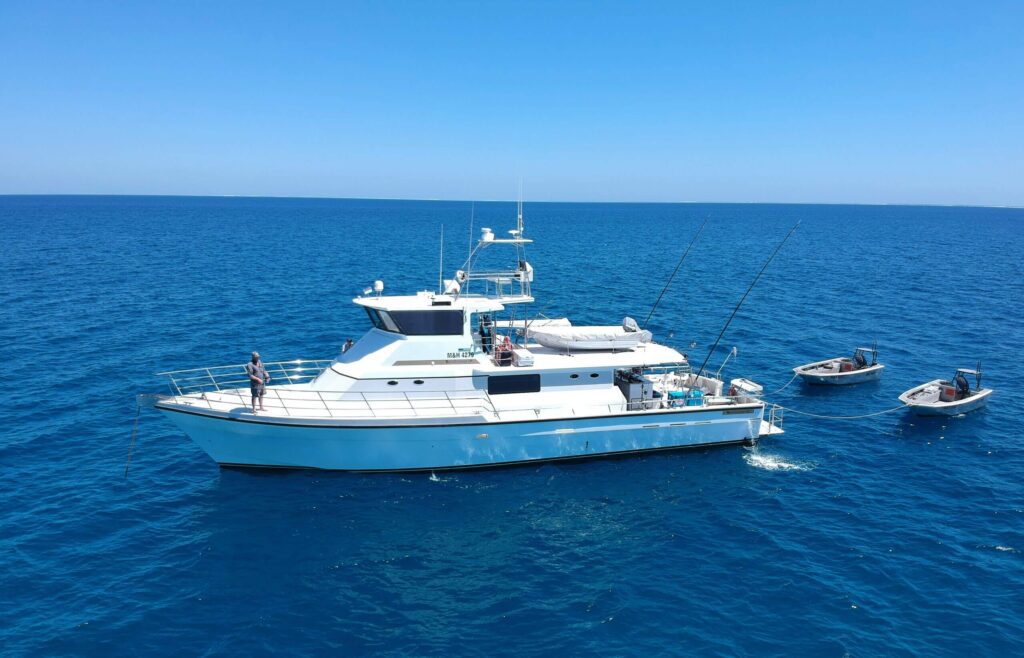 Gyro Stabilizer | The World's Most Powerful Gyroscopic Stabilizer